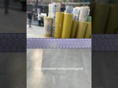 10mm Twinwall UV Blocked Greenhouse Transparent Polycarbonate Honeycomb Sheet
