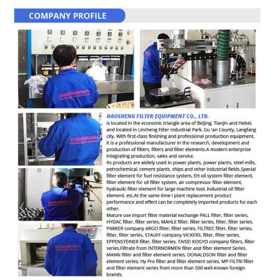 China Industriële van het de Filterelement 941037Q van de Filtratie Hydraulische Olie de glasvezel industriële filter Te koop