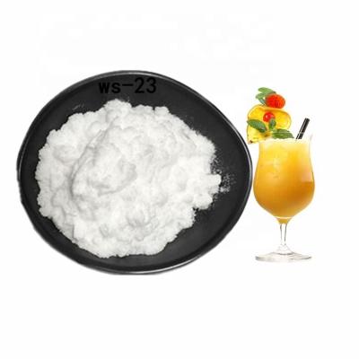 China Factory Outlet High Quality Cooling Agent Ws 23 Powder for Beverage for sale