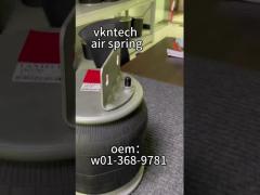 De Luchtblaasbalg 9 10S-16 van de vrachtvoering een de Legeringszuiger W01-358-9781 van 999 Rubber van het de Opschortingssysteem van de Luchtlente de Vrachtwagendelen