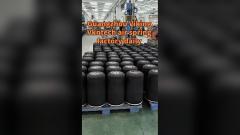air spring factory daily/air bags/air bellow/bolsa de aire/