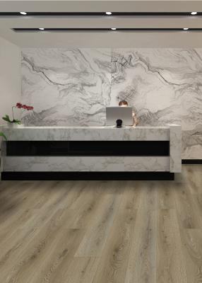 Cina Plance 183 x 1220mm GL-W7238-2 della pavimentazione di SPC del laminato del vinile del PVC della quercia in vendita