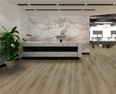 Cina Plance 183 x 1220mm GL-W7238-2 della pavimentazione di SPC del laminato del vinile del PVC della quercia in vendita
