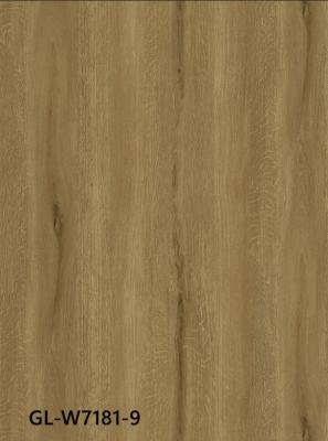 Cina La quercia amichevole di GKBM Eco come la plancia composita della pavimentazione di SPC del vinile della pietra piastrella 8mm 6mm 5mm in vendita