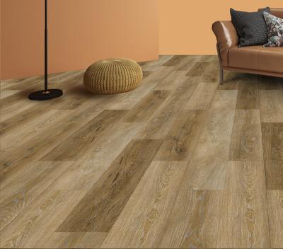 Cina Laminato UV d'impionbatura di legno del vinile del PVC della pietra della quercia di DIY che pavimenta stile occidentale moderno GL-W7185-1 in vendita