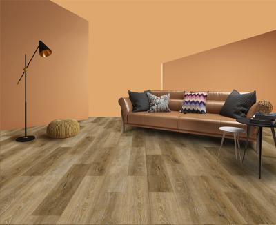Cina Laminato UV d'impionbatura di legno del vinile del PVC della pietra della quercia di DIY che pavimenta stile occidentale moderno GL-W7185-1 in vendita