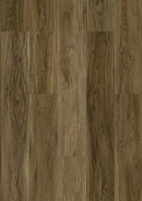 China 5mm 0.3mmWL Modern Elastic Luxury Click SPC Flooring Walnuts Plastic Composite for sale