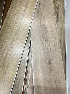 Cina GL-W7204-1 graffiano l'eucalyptus della plancia della pavimentazione di SPC della resistenza guardano il composto della polvere di calce del PVC in vendita