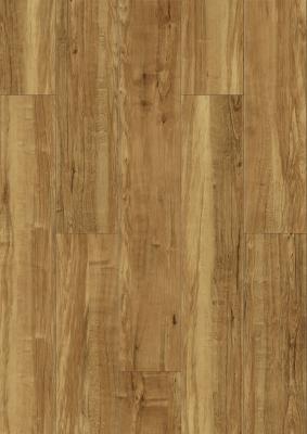 Cina Grano rustico impermeabile dell'acero della plancia DIY della pavimentazione di SPC del vinile di clic con Burl Stone in vendita