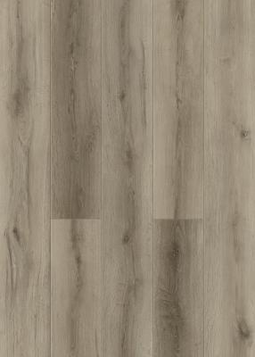 Cina Pavimentazione di legno DG-W50004B impermeabile di SPC di clic non adesivo della quercia di Yorkton in vendita