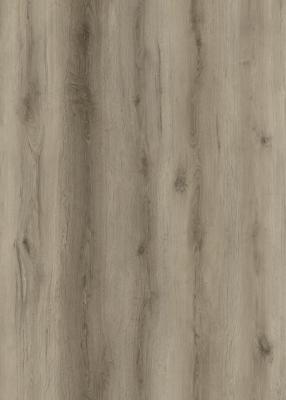 Cina Pavimentazione di legno DG-W50004B impermeabile di SPC di clic non adesivo della quercia di Yorkton in vendita