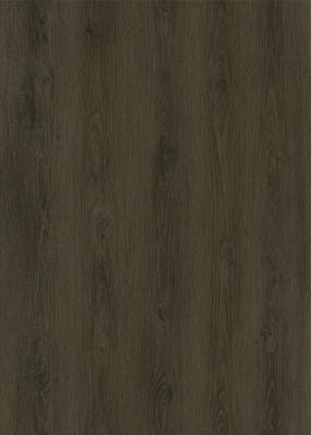 Cina Anti clic Yin Burlywood sola della pavimentazione di SPC del grano di legno di slittamento di GKBM DG-W50010B-3 in vendita
