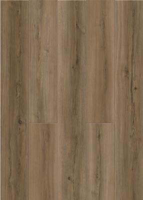 Cina Clicchi il cloruro di polivinile di legno SPC che pavimenta Eco GKBM amichevole DG-W50013B-1 in vendita