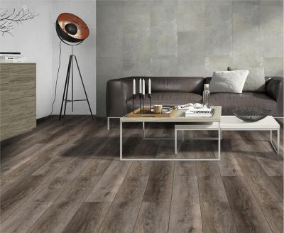 Cina Vinile amichevole SPC della pietra della quercia dell'animale domestico che pavimenta anti GKBM d'insudiciamento DM-W40007 in vendita