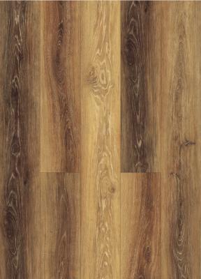 Cina quercia bianca GKBM DM-W40034 del centro di 5mm 4mm SPC del vinile del carbone rigido della plancia in vendita