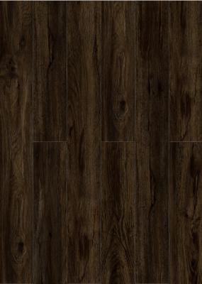 Cina Quercia di pavimentazione di legno resistente GKBM DP-W82264 del paese di SPC 183x1220mm del graffio in vendita