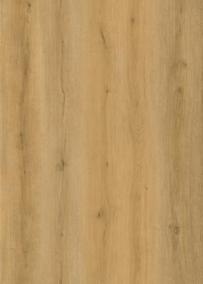 China Risco inofensivo GKBM inoxidável FT-W29163-1 do SPC 5.5mm de desenhos em espinha resistentes do rasgo anti à venda