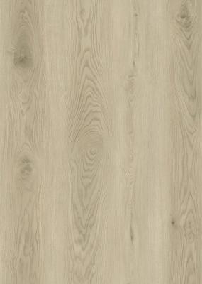 China desgaste biodegradável de 1220mm SPC 4mm - flexibilidade alta resistente GKBM FT-W29167AB-1 à venda