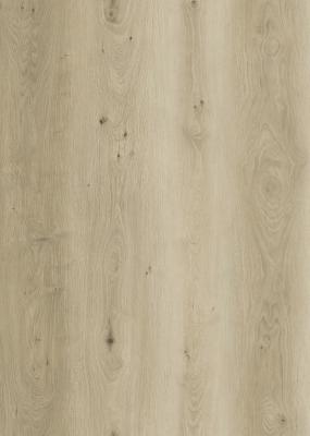 China desgaste biodegradável de 1220mm SPC 4mm - flexibilidade alta resistente GKBM FT-W29167AB-1 à venda