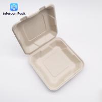 China Sugarcane Pulp Bagasse Food Trays Disposable Rectangle Square shape for sale