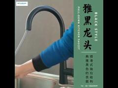 Anti cartuccia ceramica d'ostruzione dell'ugello dello spruzzatore della cucina dei rubinetti scambiabili di Antivari