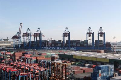 Cina FBA Internazionale Ferrovie merci Servizi ferroviari di trasporto merci Cina all'UE Medio Oriente in vendita