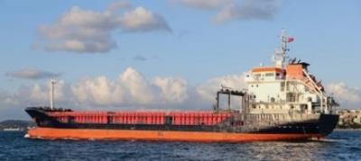 Cina Servizi di trasporto marittimo di merci a pieno contenitore in vendita