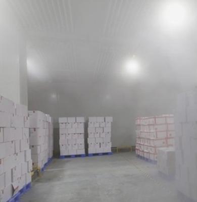Cina Servizi di stoccaggio a freddo, a secco e di magazzinaggio certificati HACCP e IFS in vendita