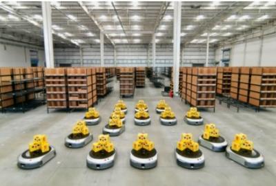 Cina Servizi di stoccaggio a freddo, a secco e di magazzinaggio certificati HACCP e IFS in vendita