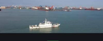 Cina Cibo con pacchetto commerciale FCL LCL Spedizione internazionale da Cina a Dubai Iran Qatar Oman Spedizione via mare in vendita