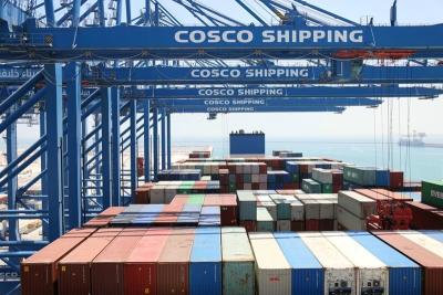 Cina Amazon Electro Brand Goods International Freight By Sea FCL LCL dalla Cina al Medio Oriente Dubai Iran in vendita