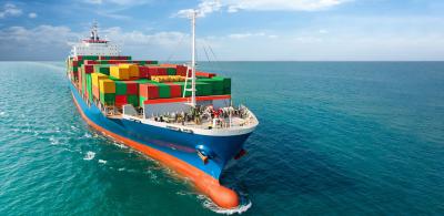 Cina Spedizione marittima di merci pericolose / merci pericolose dalla Cina a Dubai Iran Qatar Oman USA Canada In tutto il mondo in vendita