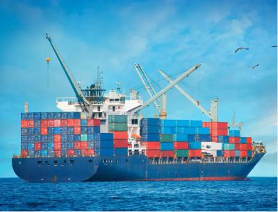 Cina Servizi di trasporto marittimo porta a porta DDP DDU Cina/Germania/Francia/Paesi Bassi/Svezia/Svizzera in vendita