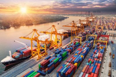 Cina Spedizioni marittime professionali porta a porta Spedizionieri marittimi Agenti di spedizionieri Spedizionieri cinesi USA Canada Messico in vendita