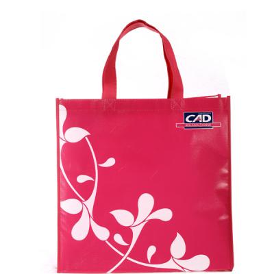China NON-WOVEN Shopping BAGs --89e for sale