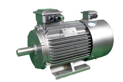 Cina IEC variabile 60034-30 del motore di frequenza B3 della classe F IM di 380V IP55 in vendita