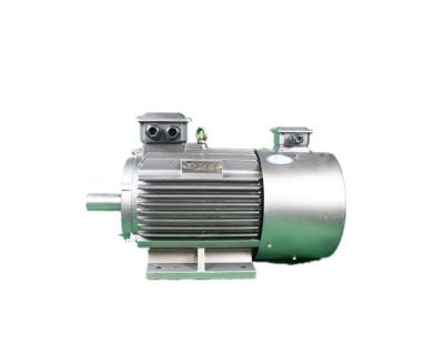 Cina 92,4% alta efficienza motore asincrono di 3 fasi YVFE3 160L-2 18.5kW in vendita