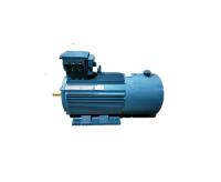 China YVFE3 80M1-2 LV Variable Frequency Motor 1.8A Asynchronous Electric Motor for sale