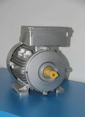 China 50Hz Frequency High Speed BLDC Motor , AC Asynchronous Motor Attractive Appearance for sale