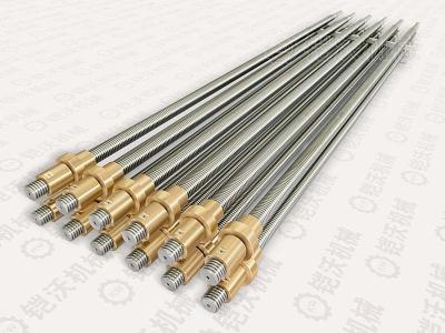 China Anti Backlash Matching Double Nut Ball Screws 10 Mm–1000 Mm Precision Thread Machining for sale