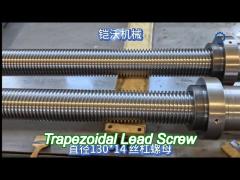trapezoidal custom lead screw stainless steel tr8 lead screw