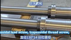 High Precision Trapezoidal Screw & Nut | Industrial Transmission Lead Screw