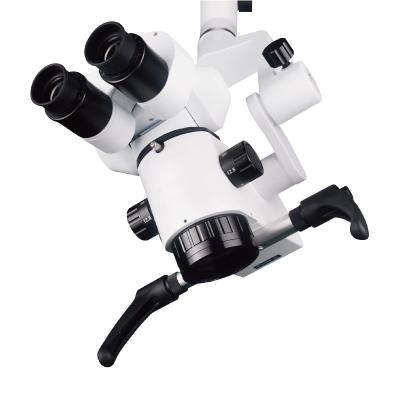 Cina Microscopio chirurgico dentario 100V-240V smontabile per endodontica in vendita