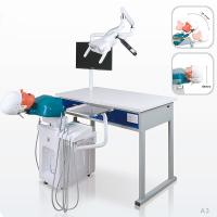 China Multiscene Phantom Head Dental Simulator Lightweight With Camera for sale
