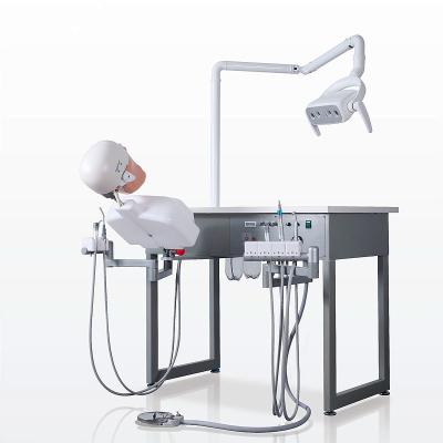 Cina CE Odontoiatria Testa Fantasma Simulatore Dentale Multiuso Conservabile in vendita