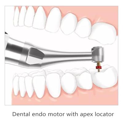 Cina Principale canale Endodontic di Endo Motor With Apex Locator di 16:1 senza cordone dentario in vendita
