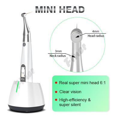 Cina 1000rpm 6/1 Apex Locator Endo Motor Automated Root Canal Endodontic Treatment in vendita