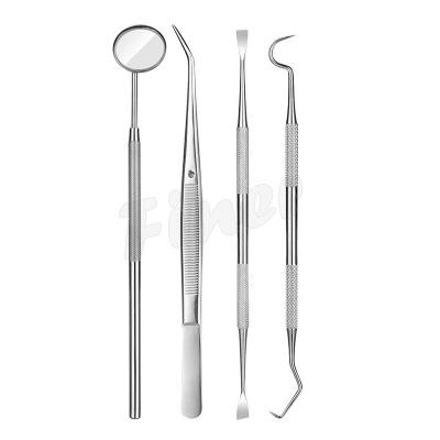 Cina Denti in acciaio inossidabile Denti orali puliti Strumenti dentali con specchio della bocca in vendita