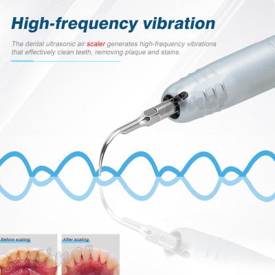 Cina Ultra Sonic 2/4 Holes Dental Air Scaler Handpiece Filling Teeth Cleaning Machine in vendita