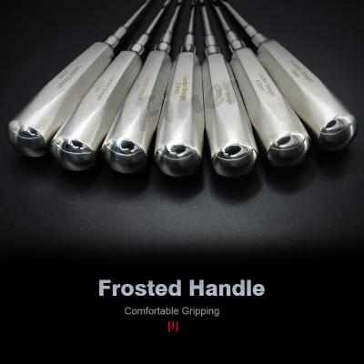Cina Strumento dentale in acciaio inossidabile 7 pezzi Molar Extraction Dental Root Elevator in vendita